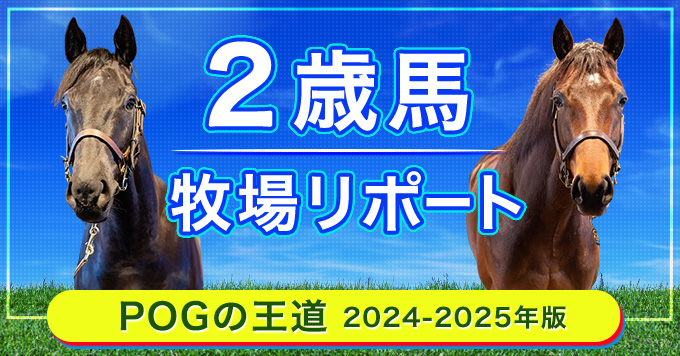 2歳馬牧場リポート2024春｜競馬情報ならJRA-VAN