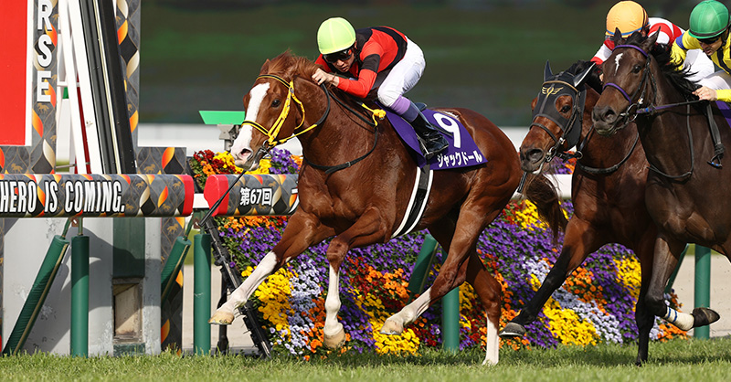 セレクションセールの歴史｜セレクションセール2023特集｜競馬情報ならJRA-VAN