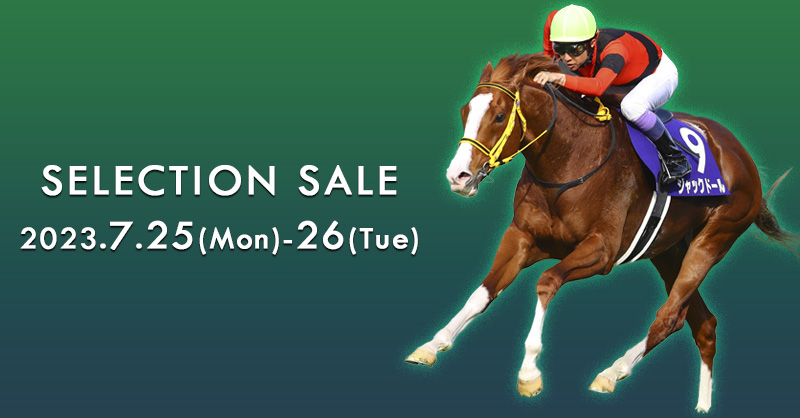 セレクションセール2023特集｜競馬情報ならJRA-VAN