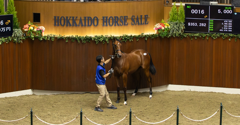 総括｜セレクションセール2023特集｜競馬情報ならJRA-VAN