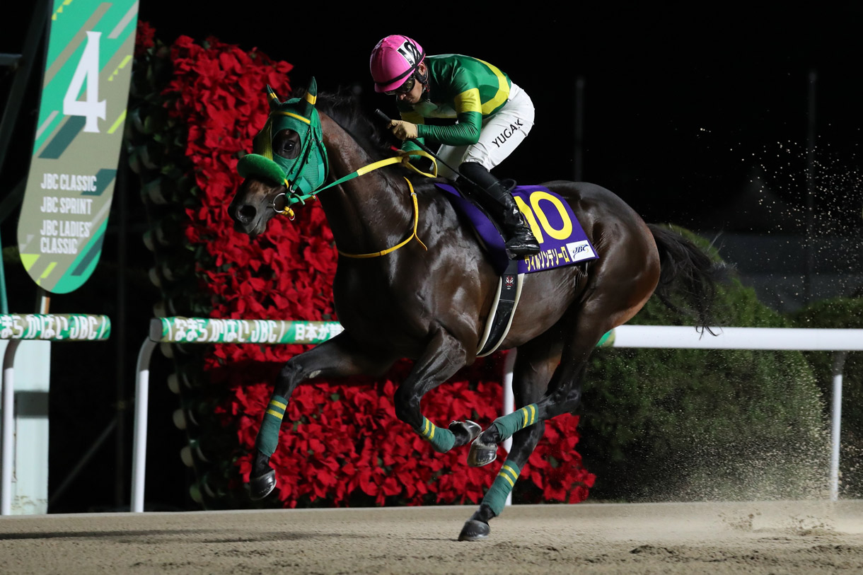 チャンピオンズカップ2024 有力馬情報｜G1特集｜競馬情報ならJRA-VAN