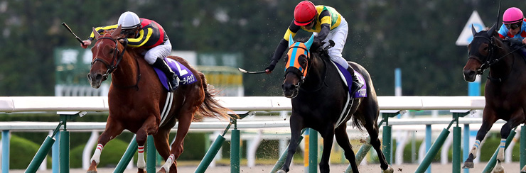 エリザベス女王杯2019｜G1特集｜競馬情報ならJRA-VAN