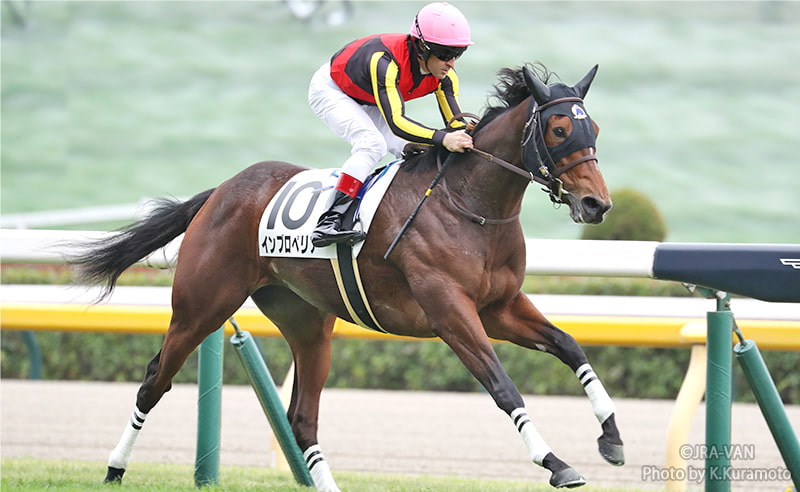 勝ち上がり若駒コラム | POG ペーパーオーナーゲーム│JRA-VAN