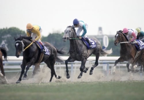 History of JRA-VAN | JRA-VAN30周年特設サイト