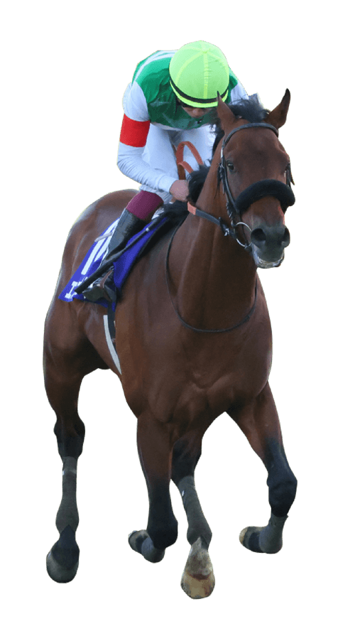 【JRA-VAN30周年特設サイト】VANderful感謝祭開催中！