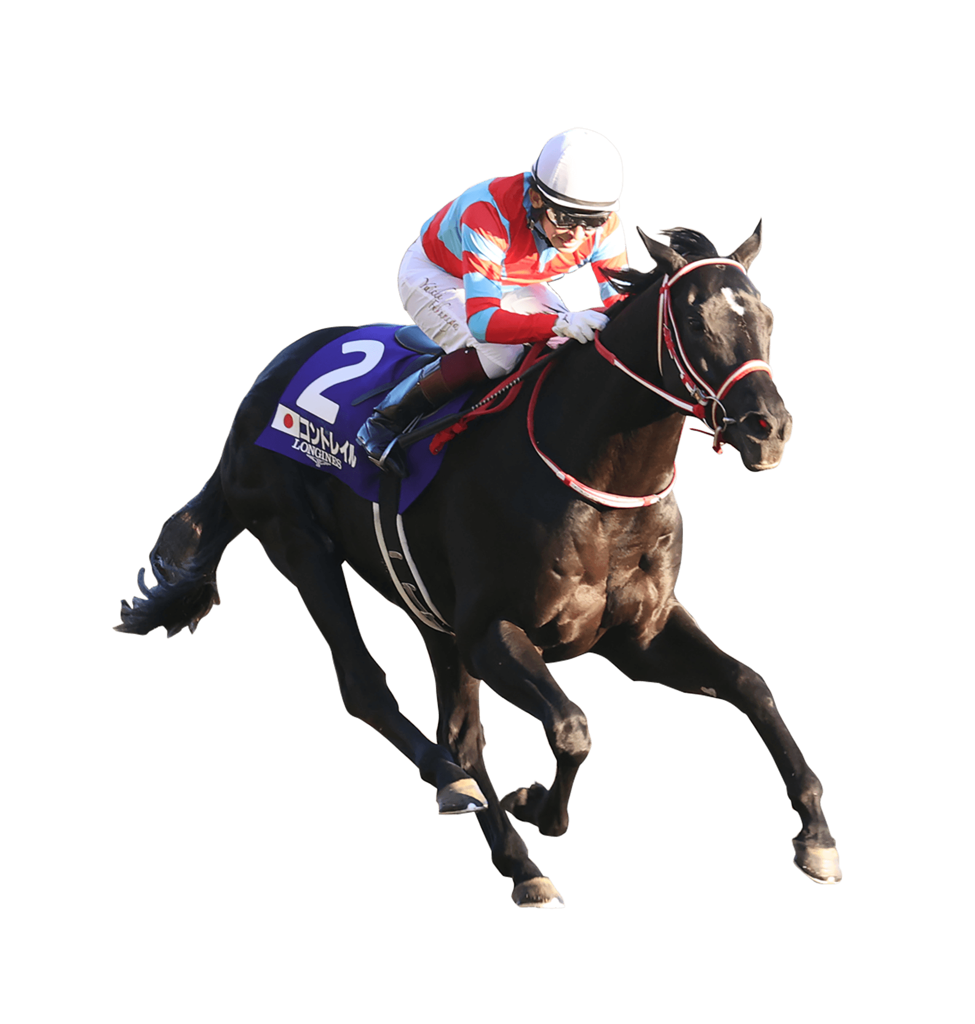 【JRA-VAN30周年特設サイト】VANderful感謝祭開催中！